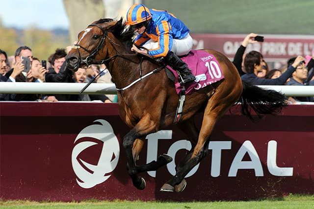 2016 | 特集レース | 開催日程 | JRA-VAN World - 海外競馬情報サイト