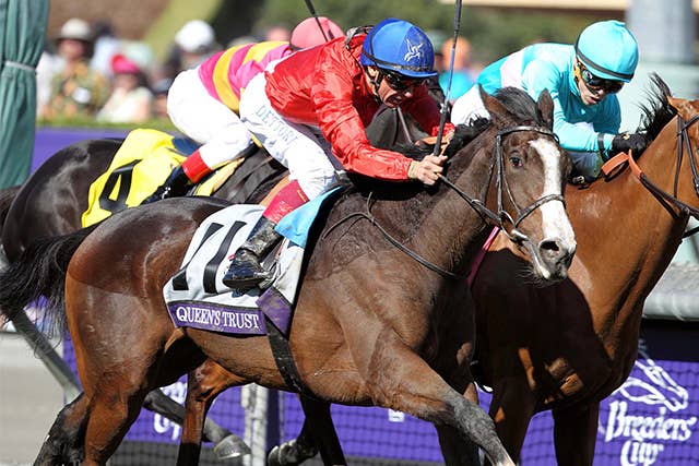 2016 | 特集レース | 開催日程 | JRA-VAN World - 海外競馬情報サイト