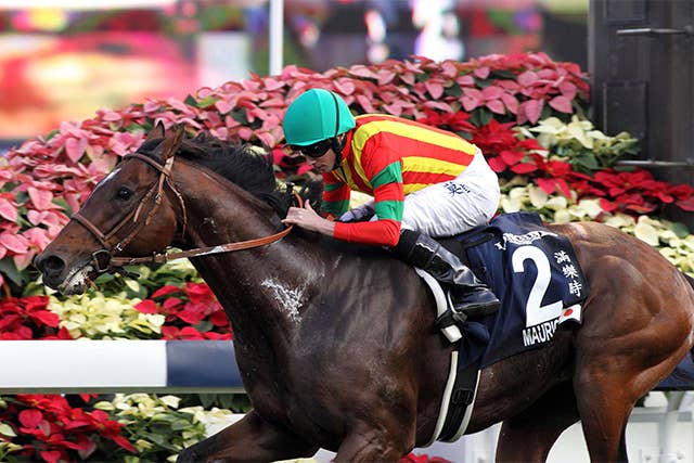 2016 | 特集レース | 開催日程 | JRA-VAN World - 海外競馬情報サイト