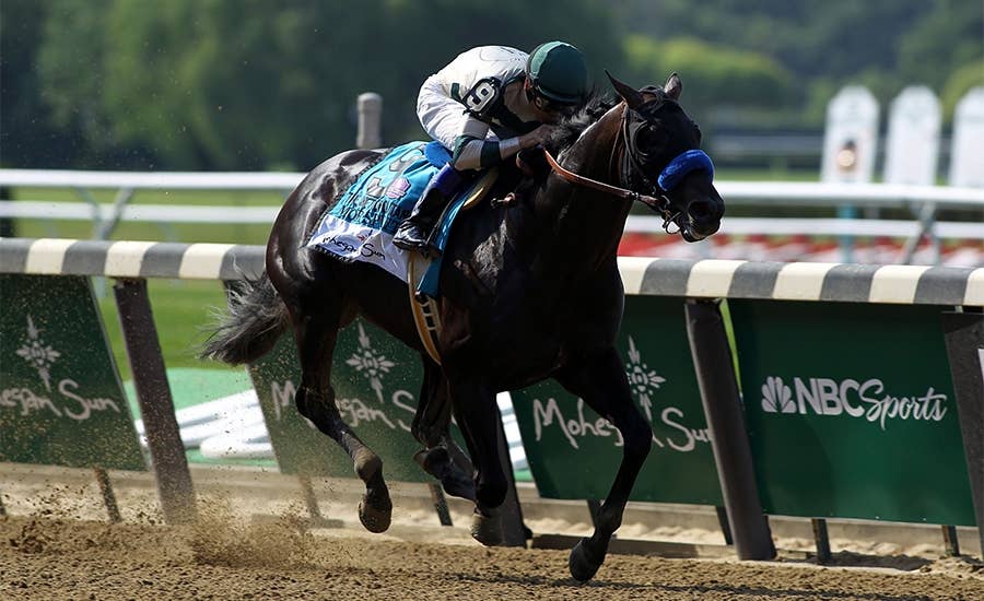 モアスピリット（Mor Spirit） | 競馬データベース | JRA-VAN World - 海外競馬情報サイト