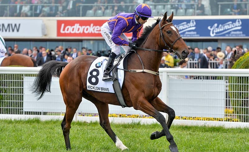 ウィックローブレーブ（Wicklow Brave） | 競馬データベース | JRA-VAN World - 海外競馬情報サイト