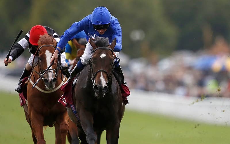 トゥールモア（Toormore） | 競馬データベース | JRA-VAN World - 海外競馬情報サイト