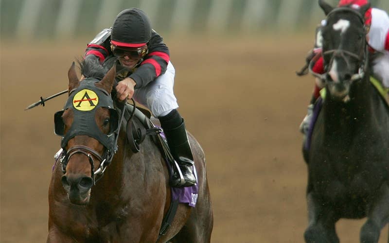 ゴーストザッパー（Ghostzapper） | 競馬データベース | JRA-VAN World - 海外競馬情報サイト