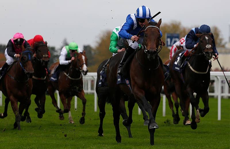 ムハーラー（Muhaarar） | 競馬データベース | JRA-VAN World - 海外競馬情報サイト