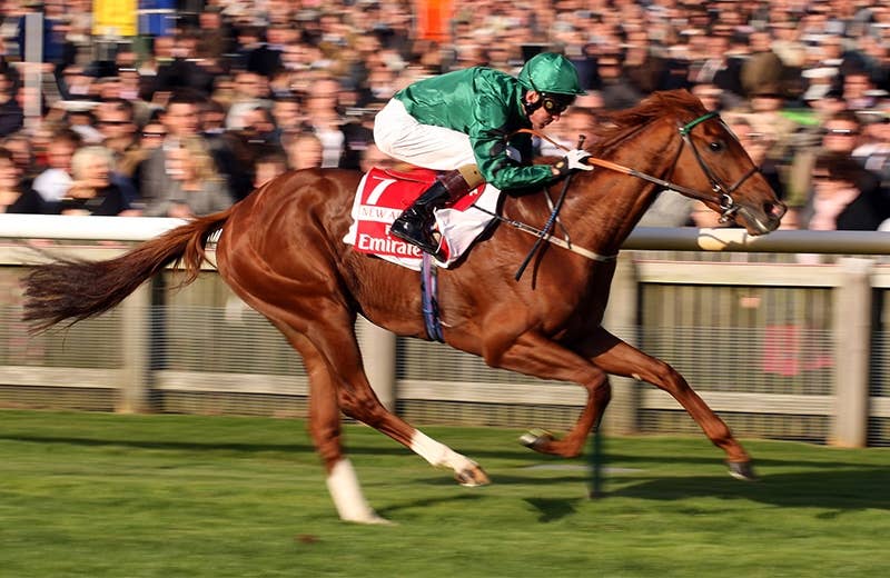 ニューアプローチ（New Approach） | 競馬データベース | JRA-VAN World - 海外競馬情報サイト