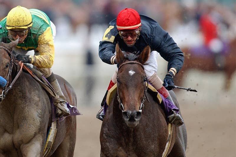 ストームフラッグフライング（Storm Flag Flying） | 競馬データベース | JRA-VAN World - 海外競馬情報サイト