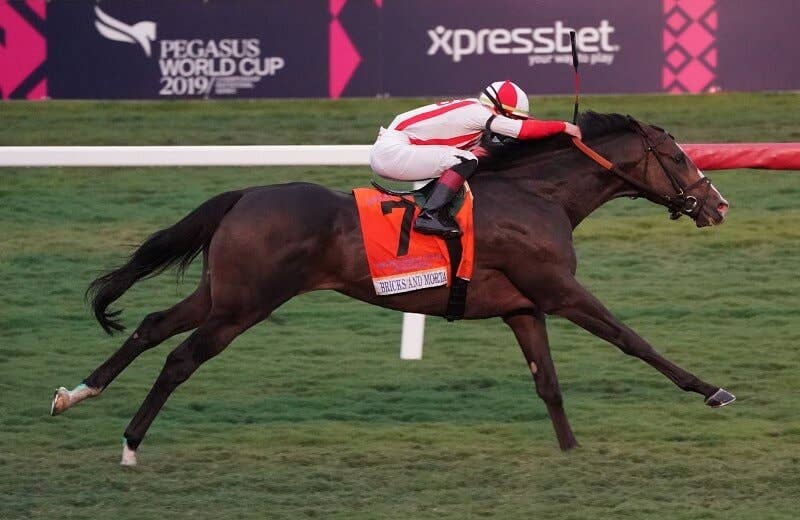 ブリックスアンドモルタル（Bricks and Mortar） | 競馬データベース | JRA-VAN World - 海外競馬情報サイト
