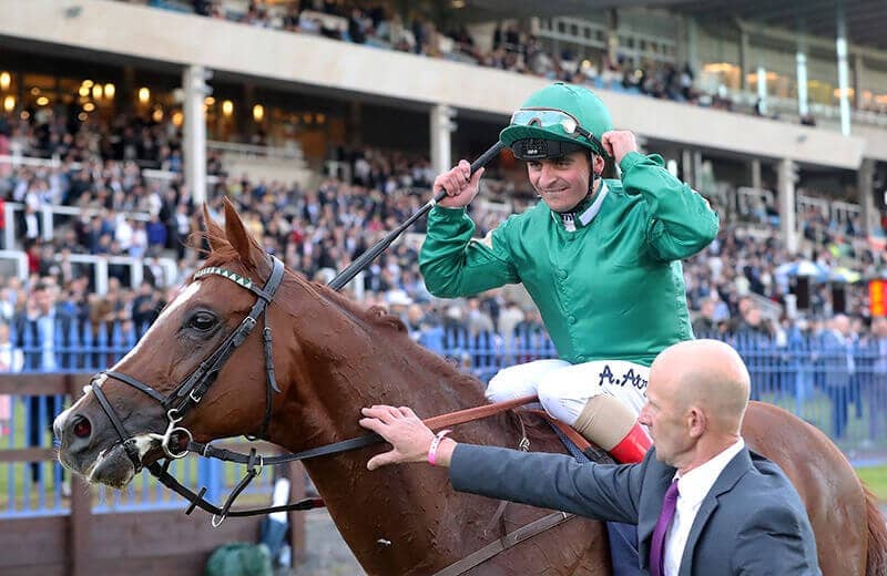 デコレーテッドナイト（Decorated Knight） | 競馬データベース | JRA-VAN World - 海外競馬情報サイト