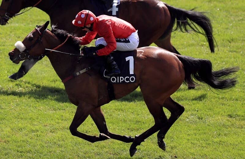 マブスクロス（Mabs Cross） | 競馬データベース | JRA-VAN World - 海外競馬情報サイト