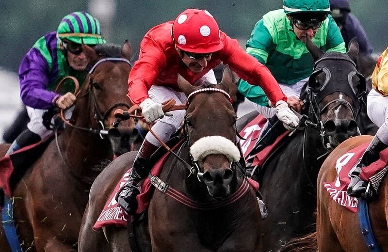 マブスクロス（Mabs Cross） | 競馬データベース | JRA-VAN World - 海外競馬情報サイト