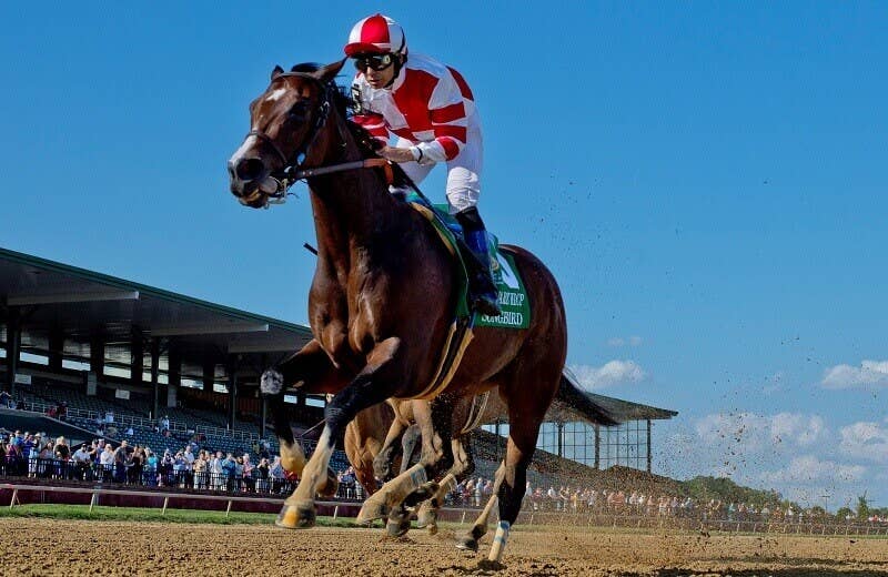 ソングバード（Songbird） | 競馬データベース | JRA-VAN World - 海外競馬情報サイト