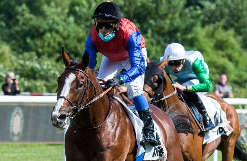 インスウープ（In Swoop） | 競馬データベース | JRA-VAN World - 海外競馬情報サイト