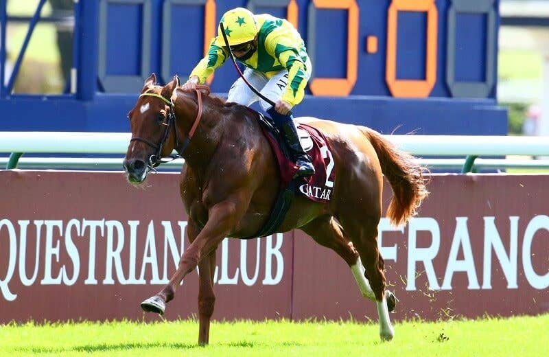 シリウェイ（Sealiway） | 競馬データベース | JRA-VAN World - 海外競馬情報サイト