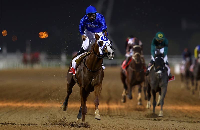 ミスティックガイド（Mystic Guide） | 競馬データベース | JRA-VAN World - 海外競馬情報サイト