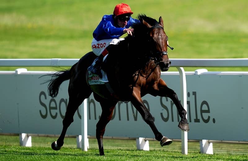 アダイヤー（Adayar） | 競馬データベース | JRA-VAN World - 海外競馬情報サイト