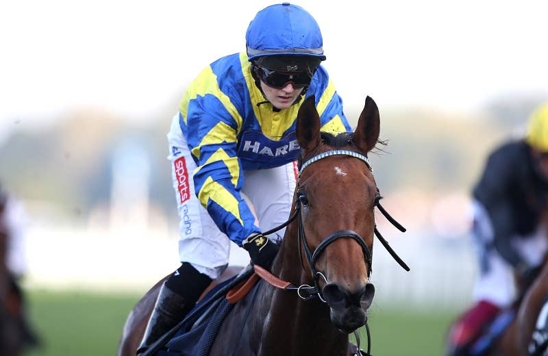 トゥルーシャン（Trueshan） | 競馬データベース | JRA-VAN World - 海外競馬情報サイト