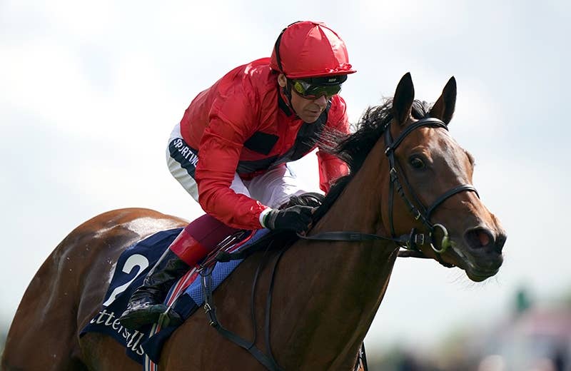 エミリーアップジョン（Emily Upjohn） | 競馬データベース | JRA-VAN World - 海外競馬情報サイト