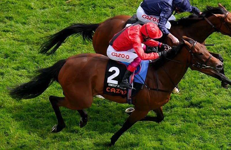 エミリーアップジョン（Emily Upjohn） | 競馬データベース | JRA-VAN World - 海外競馬情報サイト