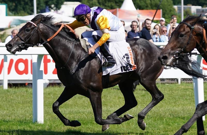 サンマルコ（Sammarco） | 競馬データベース | JRA-VAN World - 海外競馬情報サイト