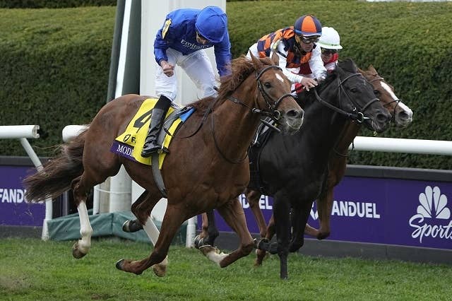 ブリーダーズカップマイル（G1） 2022/11/5(土) | 日程・結果 | JRA-VAN World - 海外競馬情報サイト