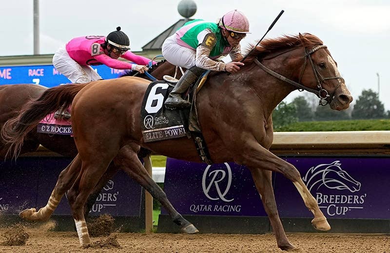 エリートパワー（Elite Power） | 競馬データベース | JRA-VAN World - 海外競馬情報サイト