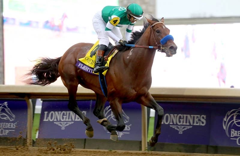 フライトライン（Flightline） | 競馬データベース | JRA-VAN World - 海外競馬情報サイト