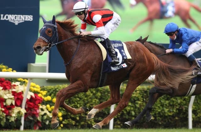 ゴドルフィンマイル（G2） 2023/3/25(土) | 日程・結果 | JRA-VAN World - 海外競馬情報サイト