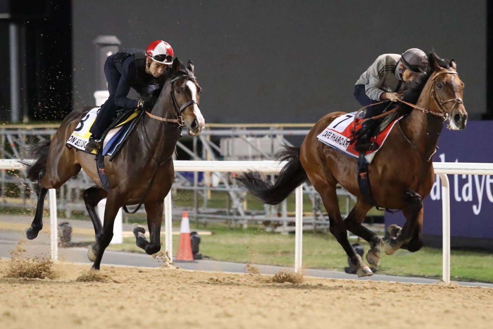 ダノンベルーガ（Danon Beluga） | 競馬データベース | JRA-VAN World - 海外競馬情報サイト