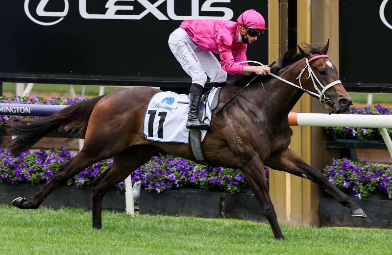 ファンガール（Fangirl） | 競馬データベース | JRA-VAN World - 海外競馬情報サイト