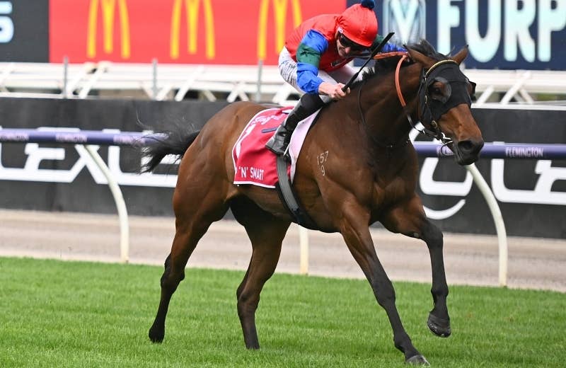 シャープンスマート（Sharp 'N' Smart） | 競馬データベース | JRA-VAN World - 海外競馬情報サイト