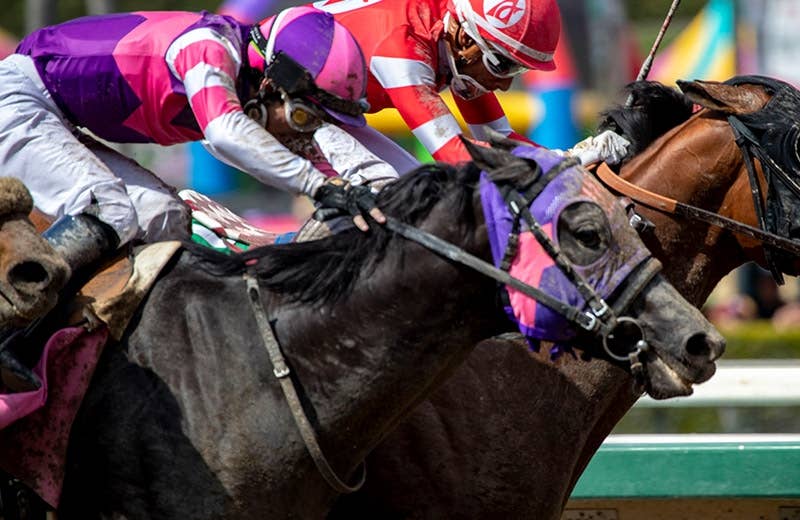 マンダリンヒーロー（Mandarin Hero） | 競馬データベース | JRA-VAN World - 海外競馬情報サイト