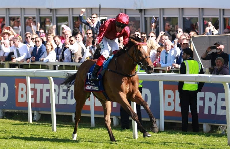 ソウルシスター（Soul Sister） | 競馬データベース | JRA-VAN World - 海外競馬情報サイト