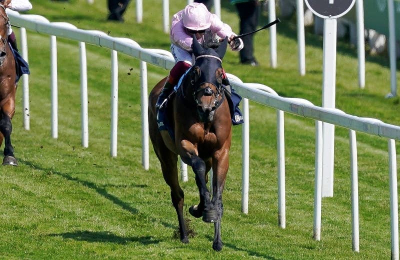 エミリーアップジョン（Emily Upjohn） | 競馬データベース | JRA-VAN World - 海外競馬情報サイト