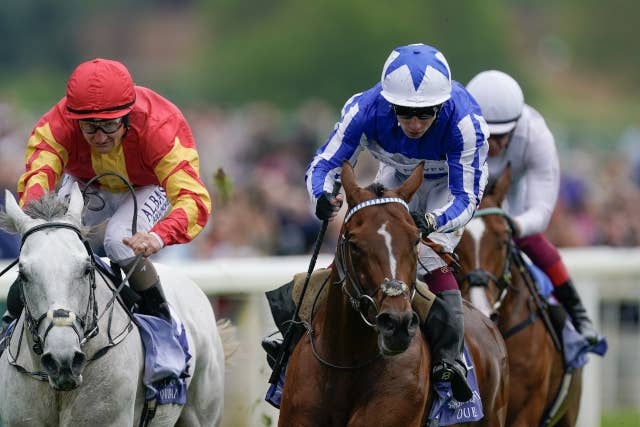 ファーブリッジ（Far Bridge） | 競馬データベース | JRA-VAN World - 海外競馬情報サイト