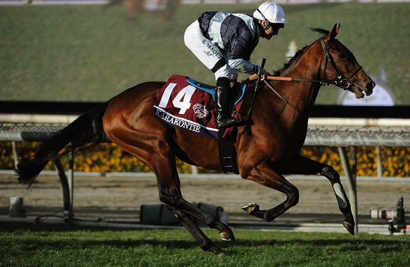 フライングモホーク（Flying Mohawk） | 競馬データベース | JRA-VAN World - 海外競馬情報サイト