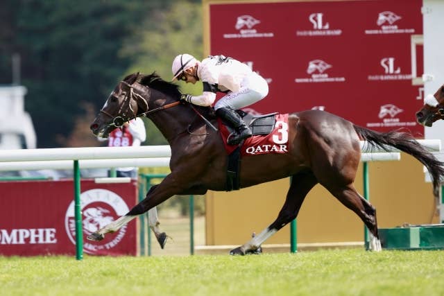 フォワ賞（G2） 2023/9/10(日) | 日程・結果 | JRA-VAN World - 海外競馬情報サイト