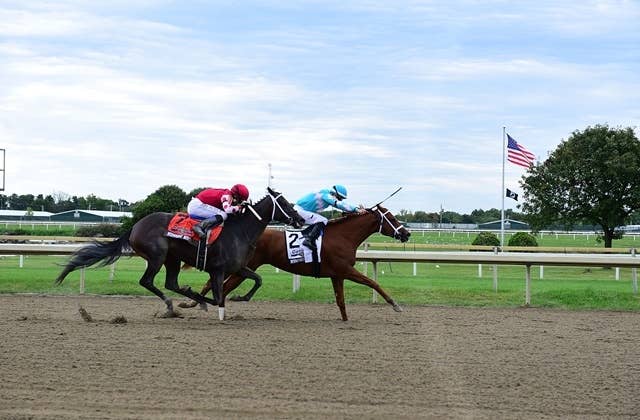 米G2ギャラントボブS、デーモンズマウンドが重賞2勝目 | JRA-VAN World - 海外競馬情報サイト