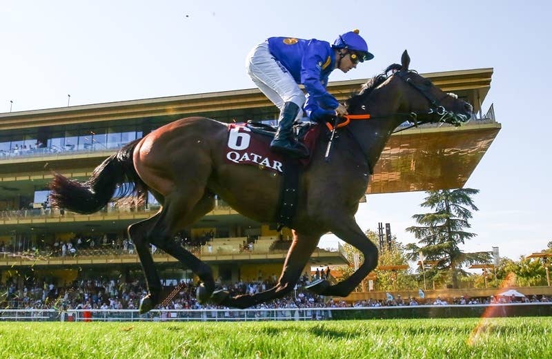 ニュース | JRA-VAN World - 海外競馬情報サイト