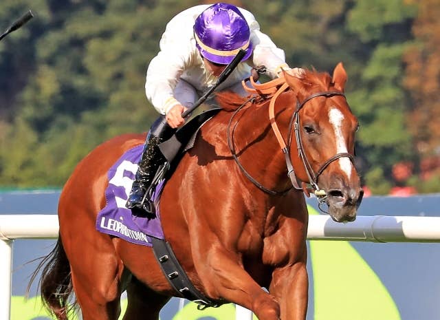 英チャンピオンステークス（G1） 2023/10/21(土) | 日程・結果 | JRA-VAN World - 海外競馬情報サイト