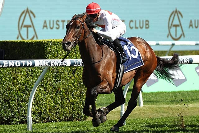 賞金200万豪ドルのG3シドニーS、アイアムミーが1番人気に応える | JRA-VAN World - 海外競馬情報サイト