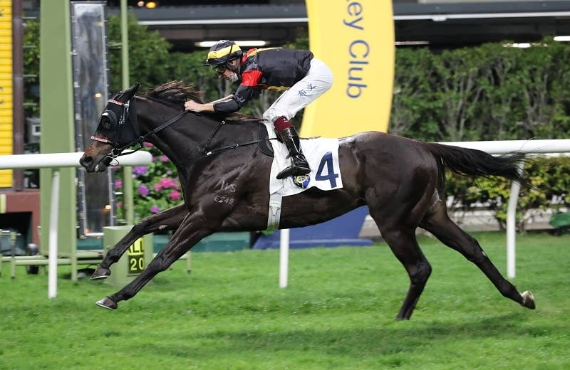 ニンブルニンバス（Nimble Nimbus） | 競馬データベース | JRA-VAN World - 海外競馬情報サイト