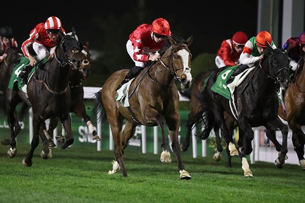 ネオムターフカップ（G2） 2024/2/24(土) | 日程・結果 | JRA-VAN World - 海外競馬情報サイト