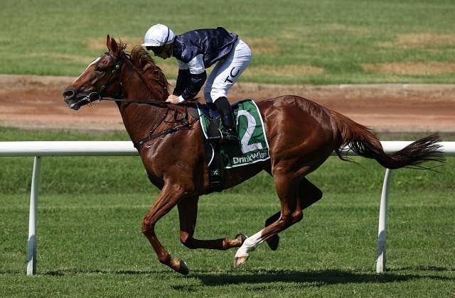 豪G3ネヴィルセルウッドS、サーペンタインが2020年英ダービー以来の重賞勝ち | JRA-VAN World - 海外競馬情報サイト