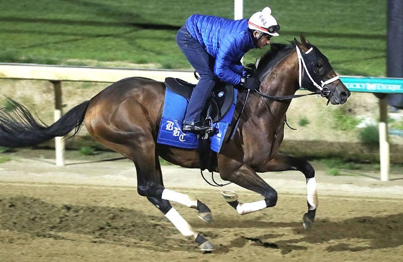 キャッチングフリーダム（Catching Freedom） | 競馬データベース | JRA-VAN World - 海外競馬情報サイト