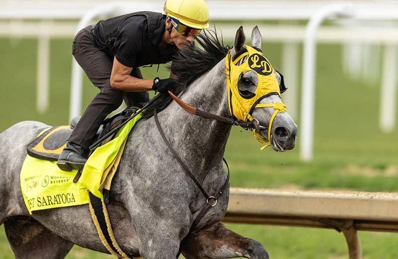 ウエストサラトガ（West Saratoga） | 競馬データベース | JRA-VAN World - 海外競馬情報サイト