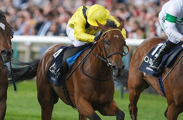 伏兵エルマルカが大金星、英1000ギニーを差し切り勝ち | JRA-VAN World - 海外競馬情報サイト