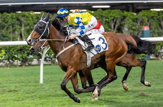 香港G3クイーンマザーメモリアルC、ラシティブランシュが重賞初制覇 | JRA-VAN World - 海外競馬情報サイト