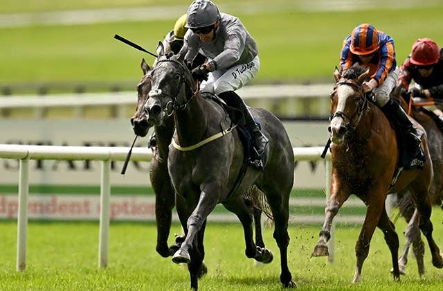 オペラシンガー（Opera Singer） | 競馬データベース | JRA-VAN World - 海外競馬情報サイト