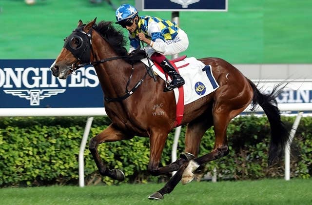 ギャラクシーパッチが重賞2連勝、香港G3プレミアプレートで末脚一閃 | JRA-VAN World - 海外競馬情報サイト