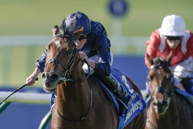 ジェイアービー（Jayarebe） | 競馬データベース | JRA-VAN World - 海外競馬情報サイト